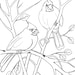 Birds Coloring Pages | Hand Drawn Illustrations (PDF & JPG) - Etsy