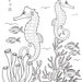 Underwater Sea Life Coloring Pages | Kids Summer Activity (PDF & JPG ...