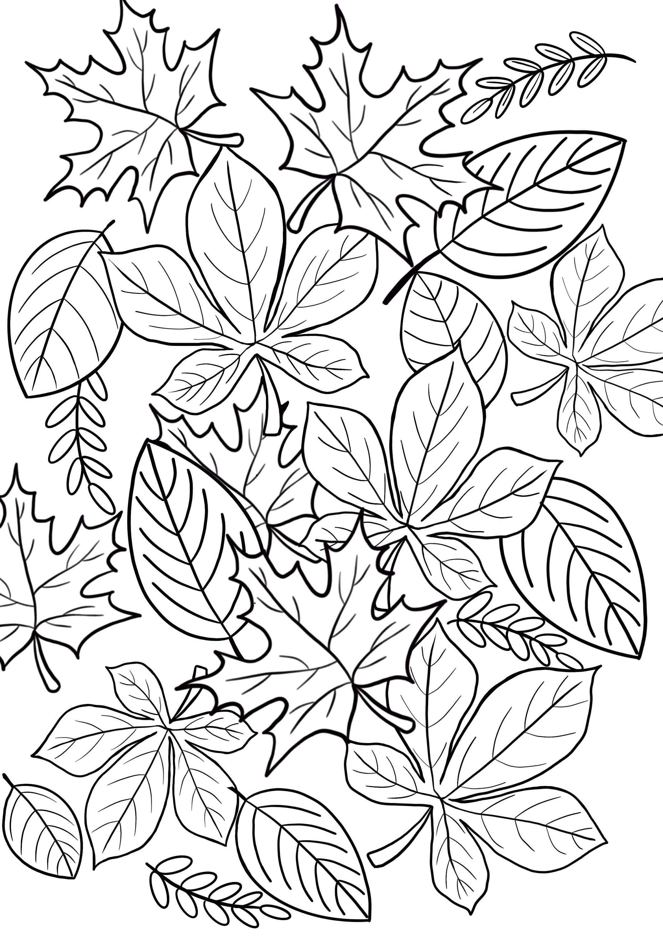 Autumn Flowers Coloring Pages Coloring Pages