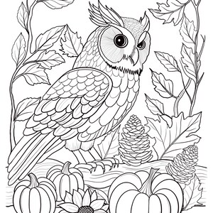 Fall Coloring Pages: Sunflower, Pumpkins, Owl (PDF Pattern) - Etsy