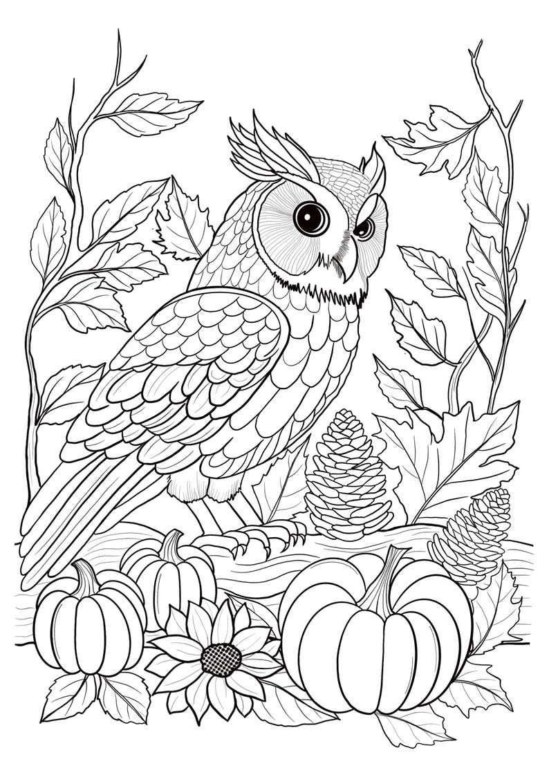 Fall Coloring Pages: Sunflower, Pumpkins, Owl (PDF Pattern) - Etsy