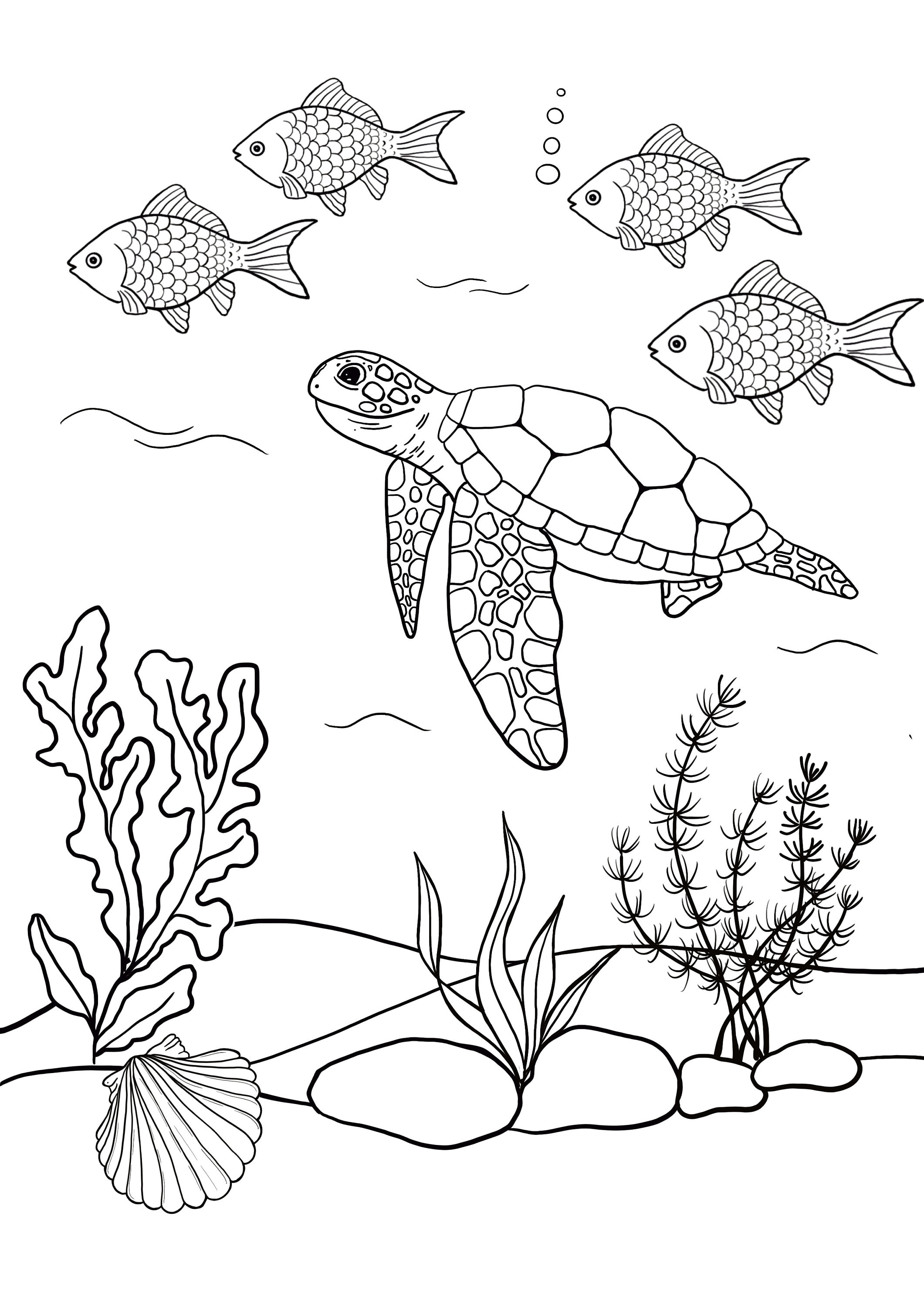 Beautiful Underwater Sea Life Printable Coloring Sheet | Coloring Pages ...
