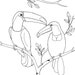 Birds Printable Coloring Sheet Coloring Pages Kids Coloring Pages Kids ...