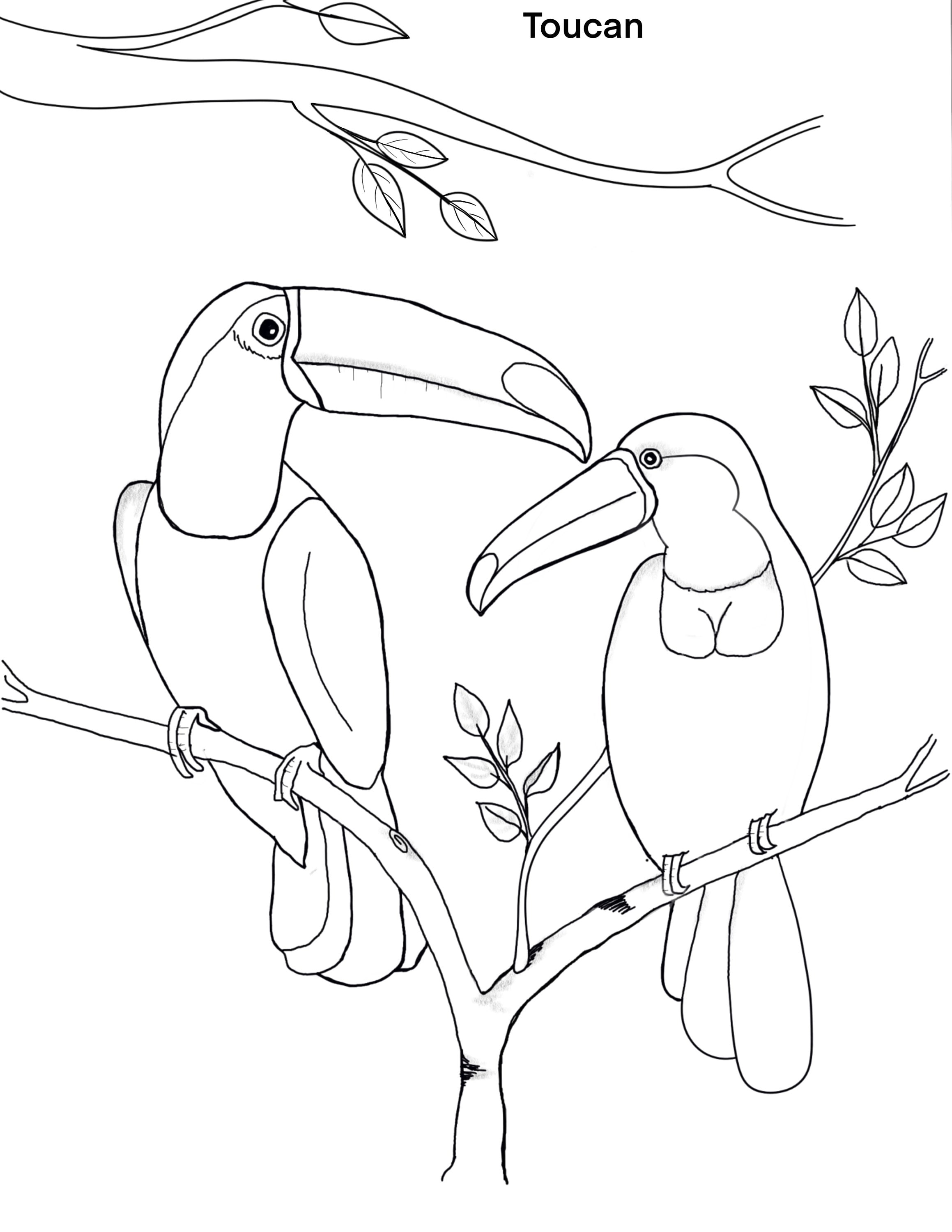 Birds Printable Coloring Sheet | Coloring Pages | Kids Coloring Pages ...