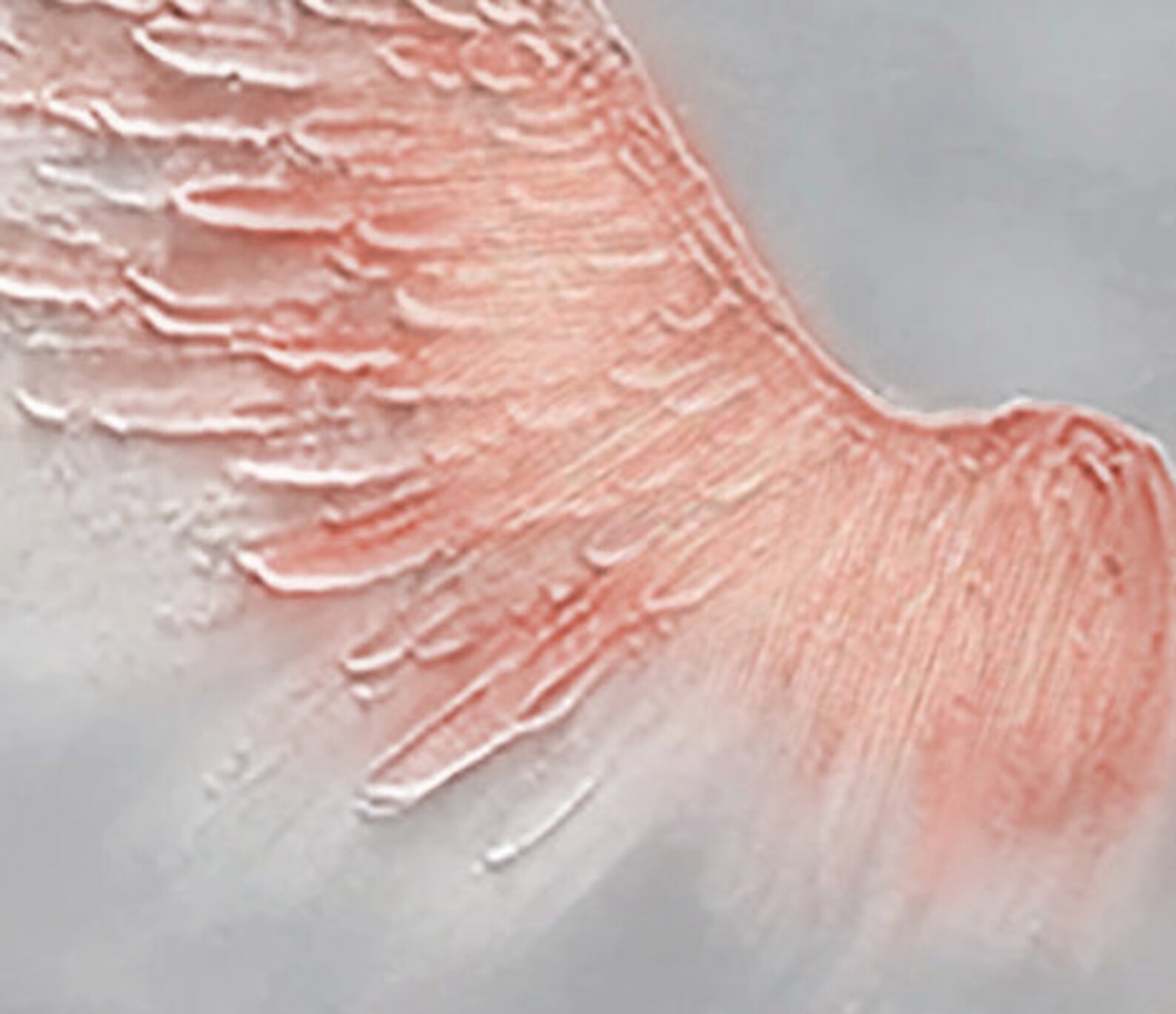 Large Pink Angel Wing Oil Painting on Canvas, Abstract Original Modern ...