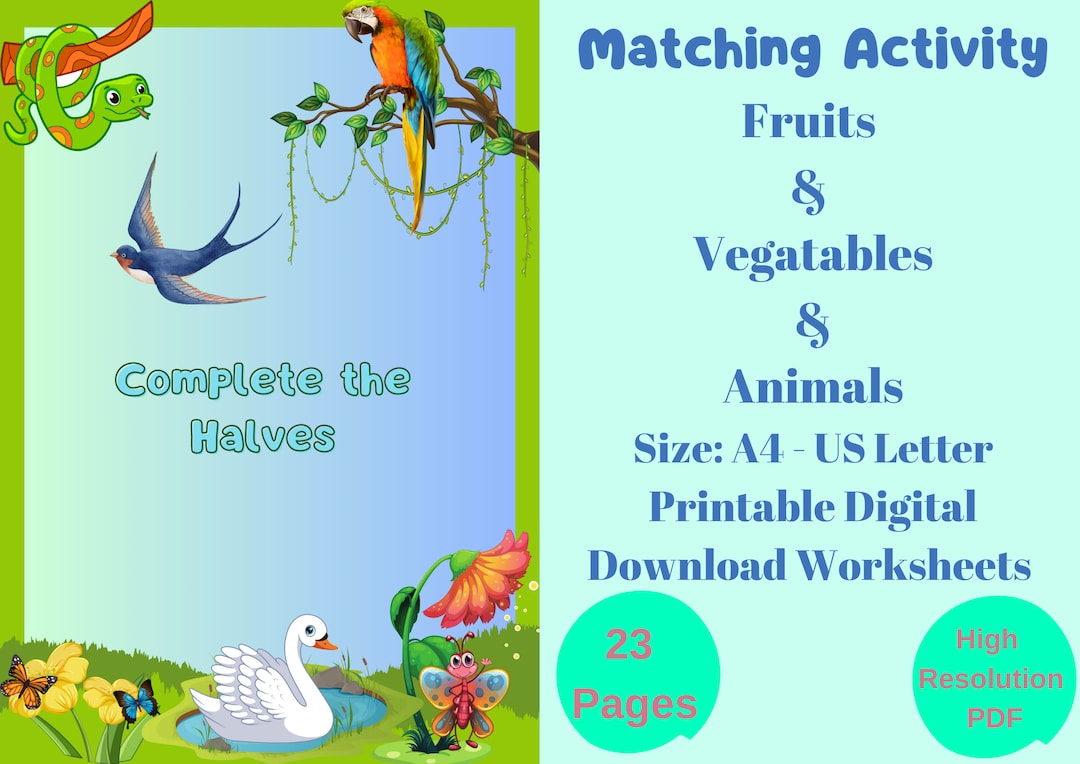 Matching Activity for Kids. Develop Memory and Cognitive Skills for ...