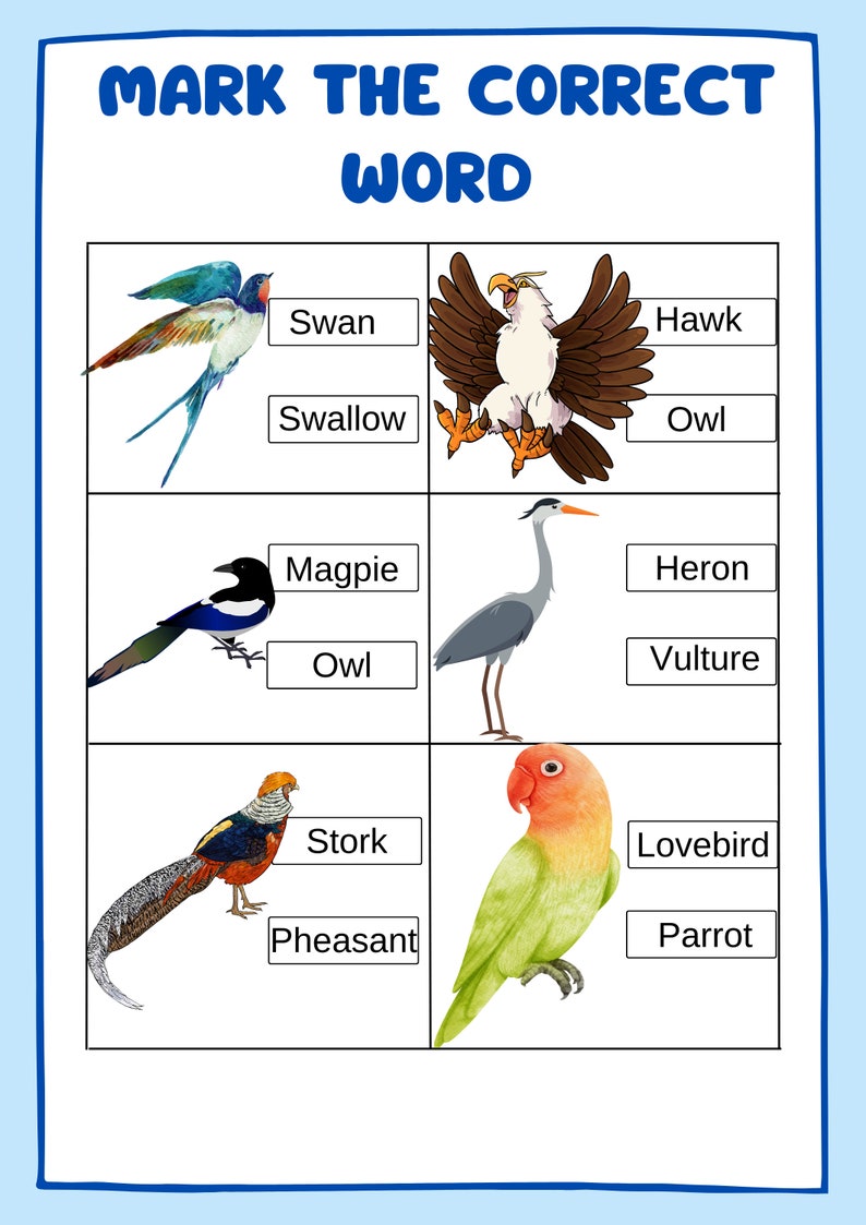 Educational Birds Flashcards, 44 Printable Pages, Enhance Your Child's ...