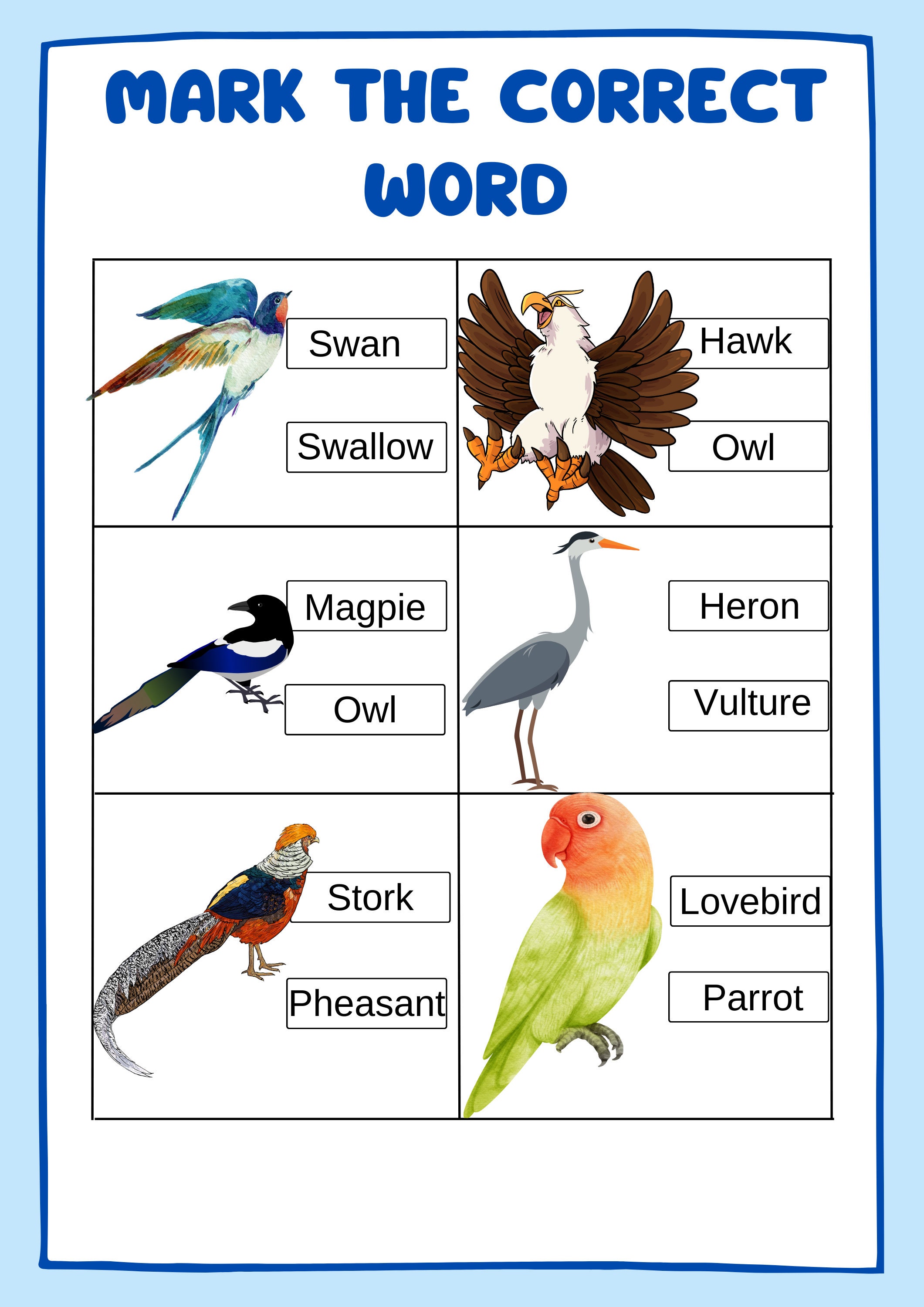 Educational Birds Flashcards, 44 Printable Pages, Enhance Your Child's ...