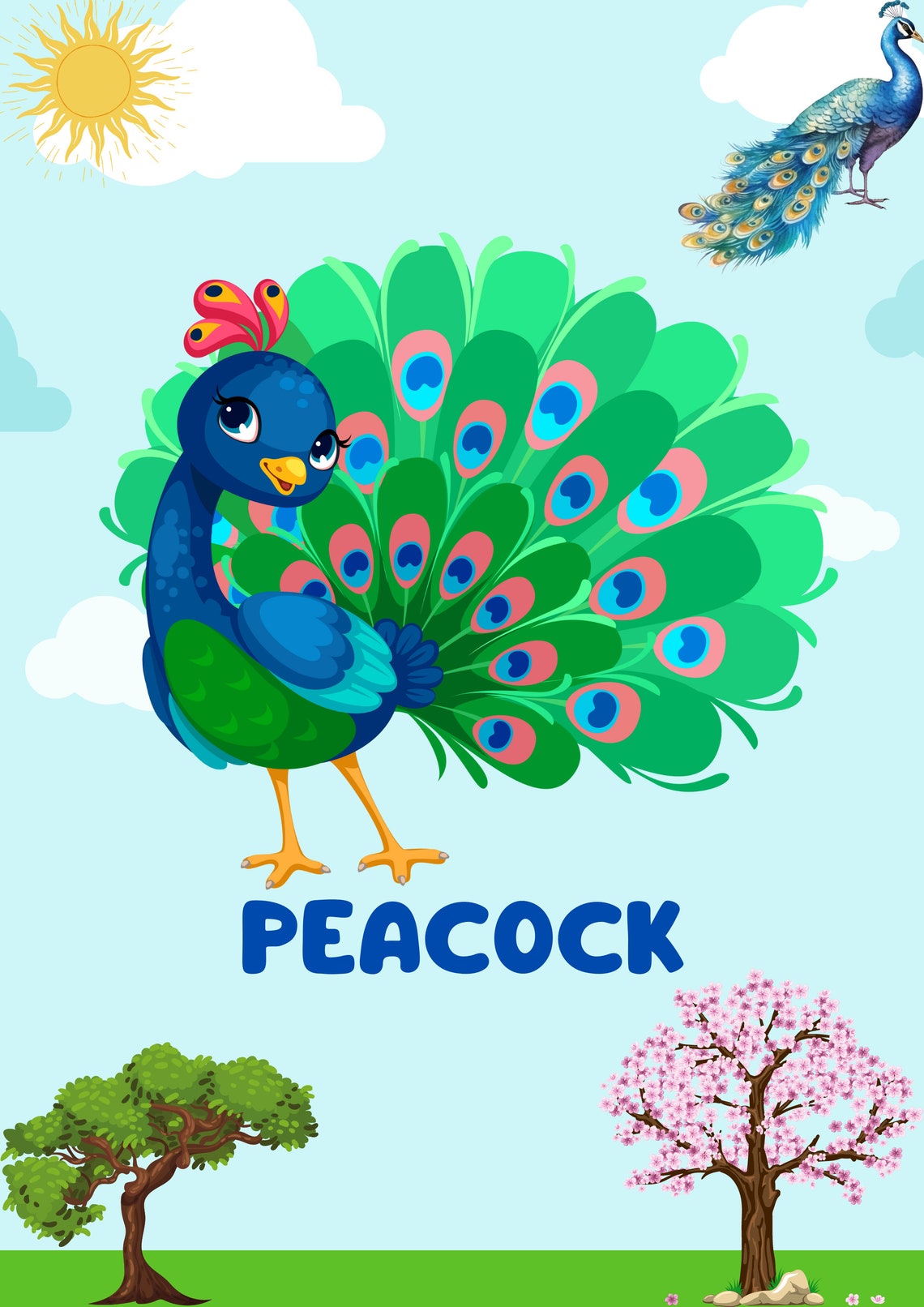 Educational Birds Flashcards, 44 Printable Pages, Enhance Your Child's ...