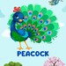 Educational Birds Flashcards, 44 Printable Pages, Enhance Your Child's ...