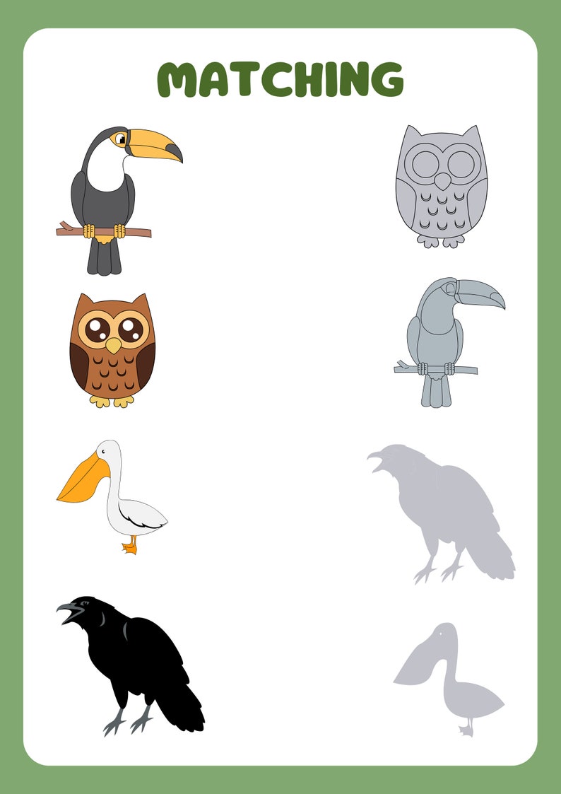 Educational Birds Flashcards, 44 Printable Pages, Enhance Your Child's ...