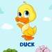 Educational Birds Flashcards, 44 Printable Pages, Enhance Your Child's ...