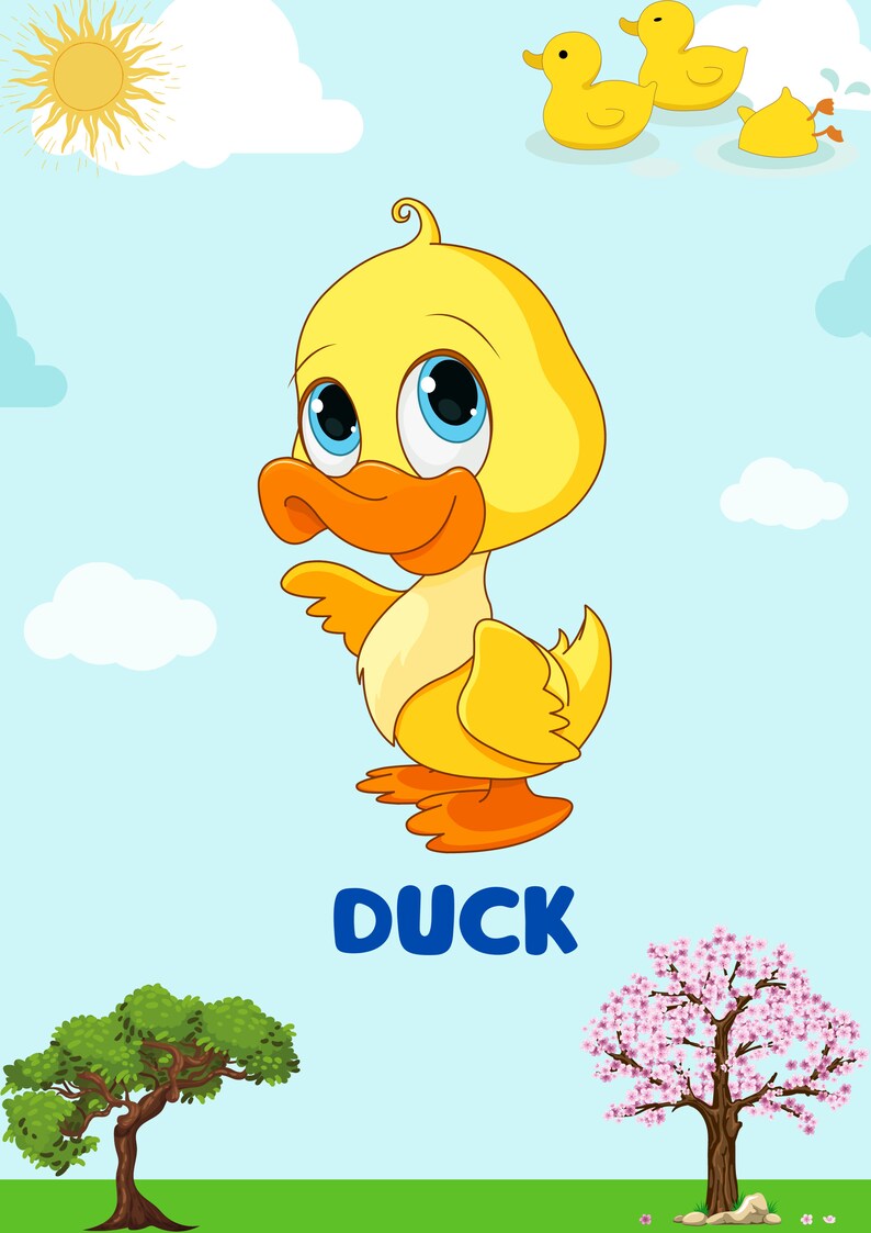 Educational Birds Flashcards, 44 Printable Pages, Enhance Your Child's ...