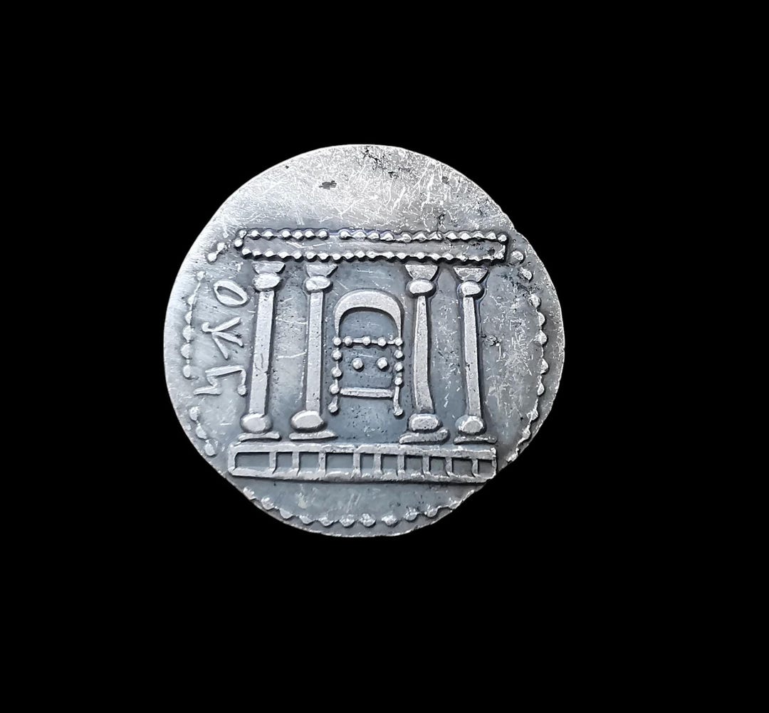 Ancient Judea Bar Kokhba Revolt Shekel Silver Plated Reproduction Coin ...