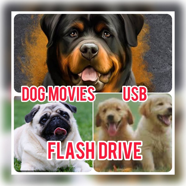 Preloaded Movies on Usb Flash Drive - Etsy