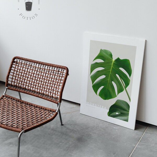 Types of Monstera Poster - Etsy