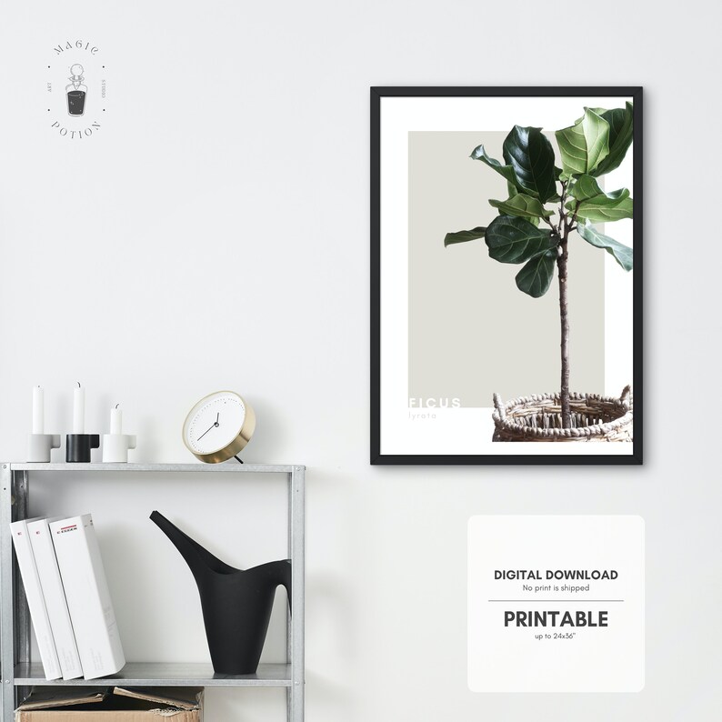 Botanical Wall Art, House Plant Guide Print, Types of Plants, Interior ...