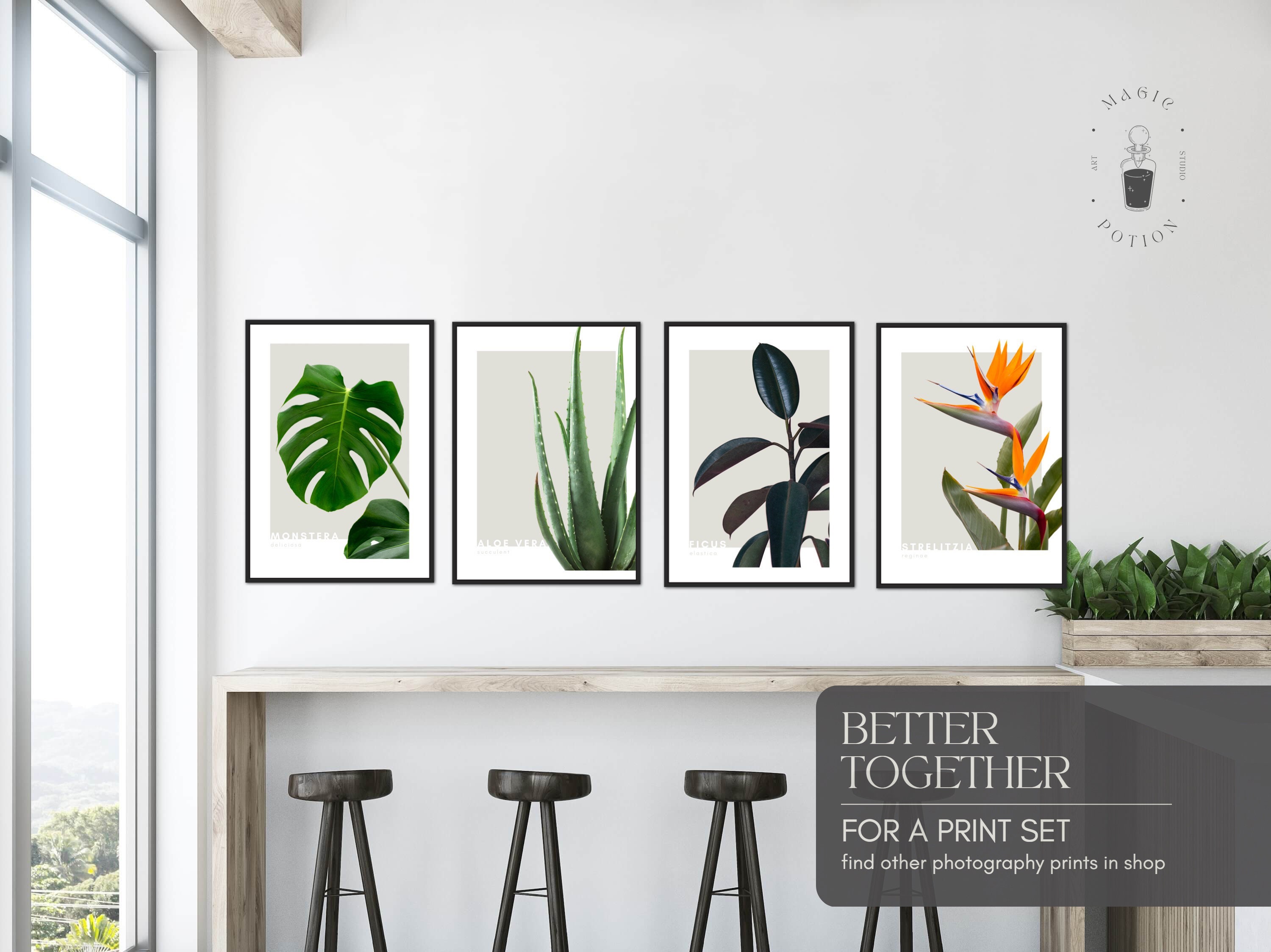 Botanical Wall Art, House Plant Guide Print, Types of Plants, Interior ...