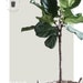 Botanical Wall Art, House Plant Guide Print, Types of Plants, Interior ...
