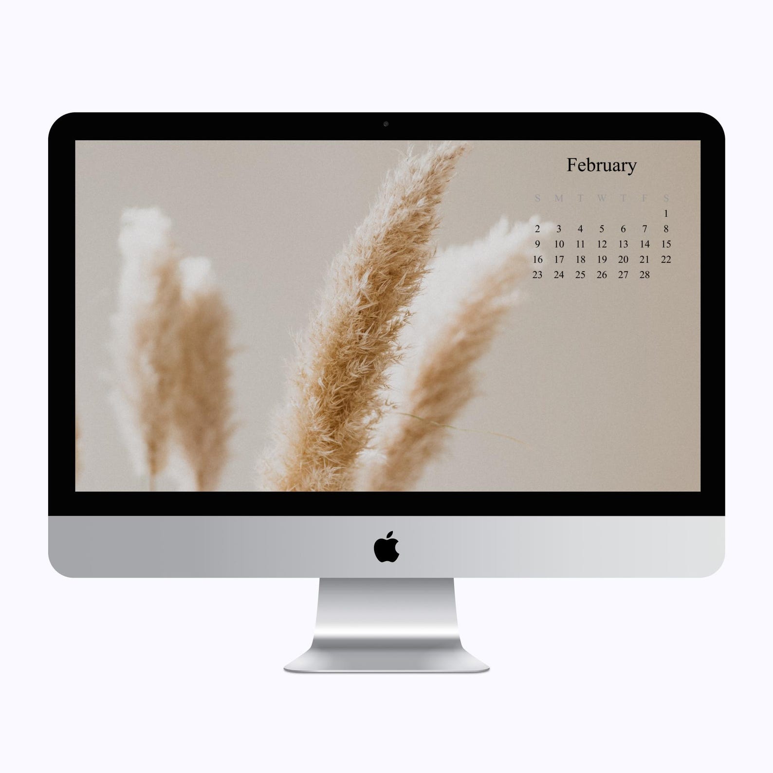 2025 Neutrals Monthly Desktop Calendar Wallpaper, Calming, Minimalist ...