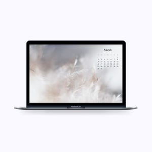 2025 Neutrals Monthly Desktop Calendar Wallpaper, Calming, Minimalist ...