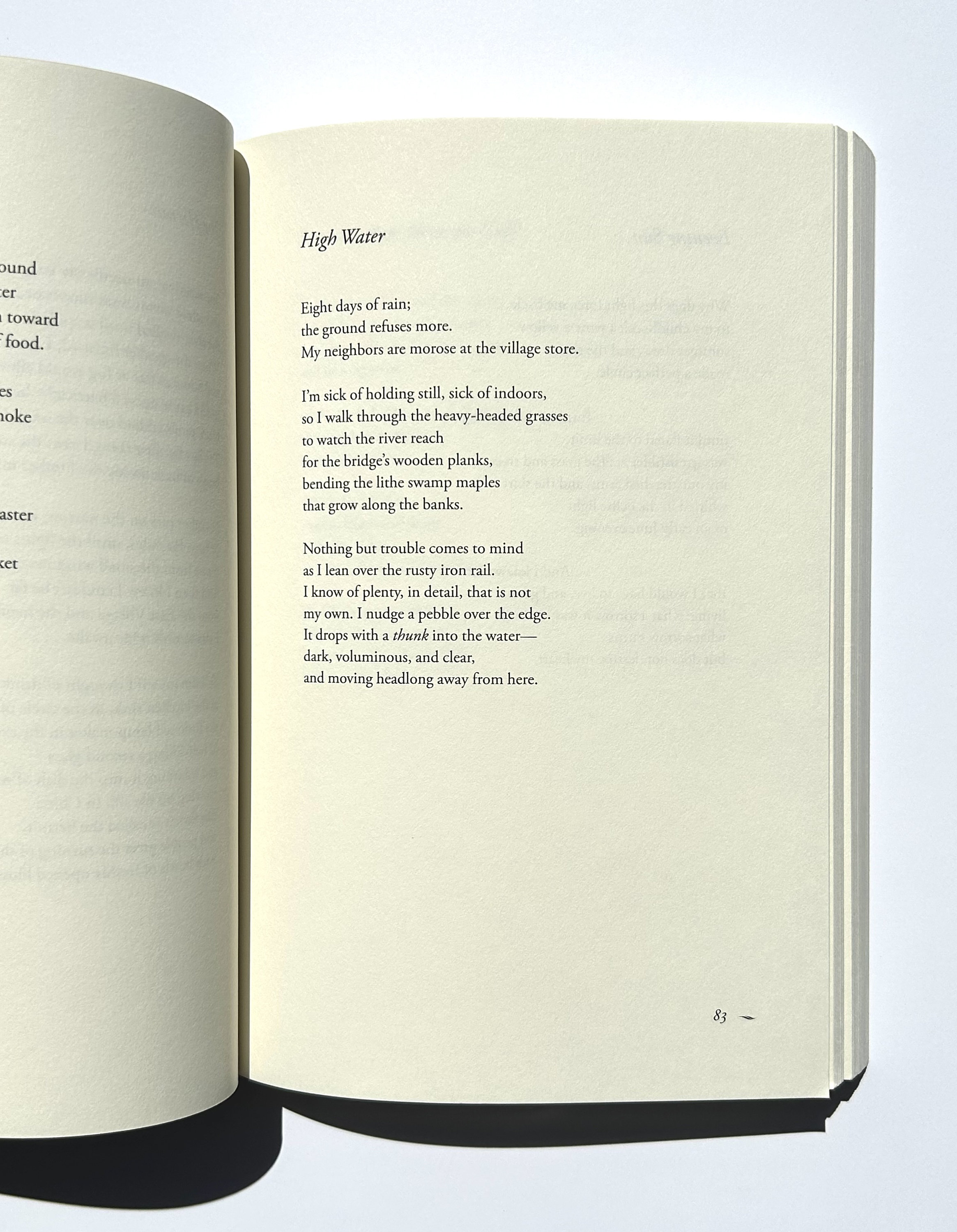 Jane Kenyon Collected Poems 2000s Graywolf Press Paperback - Etsy