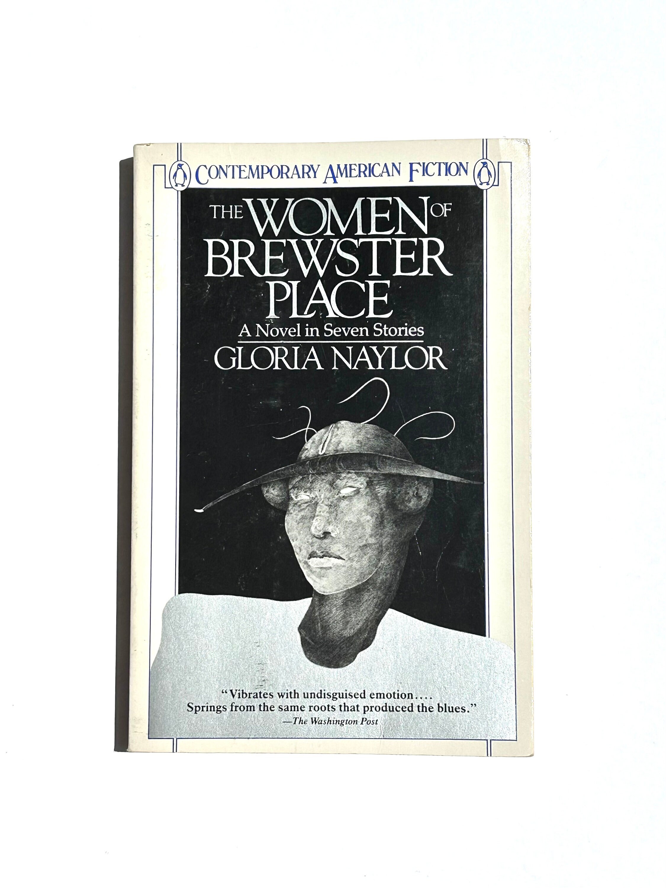 The Women Of Brewster Place Book