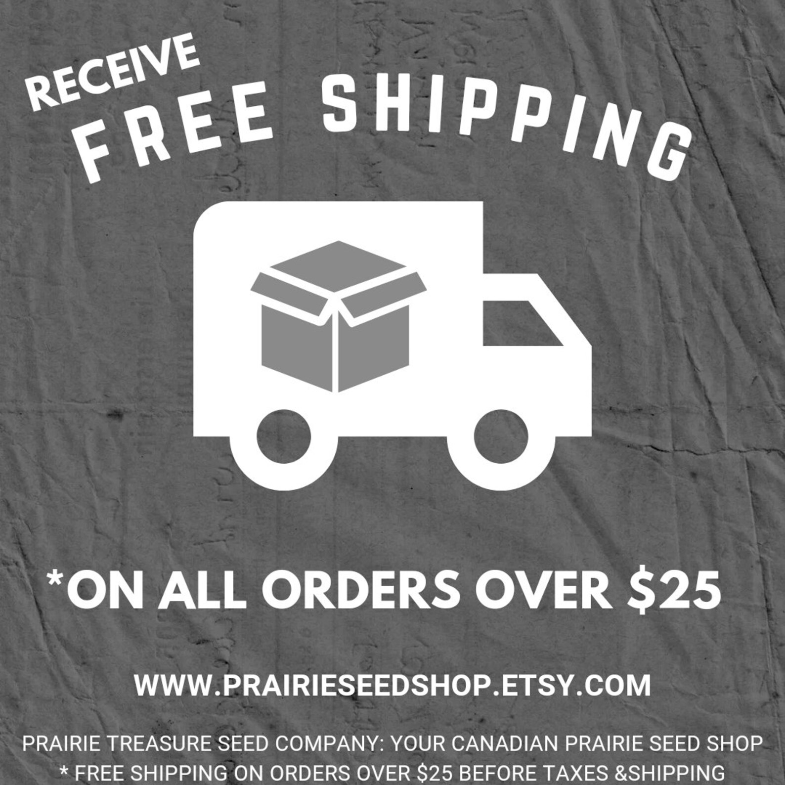 Culantro Seeds Canada, Chadon Beni, Eryngium Foetidum, Shadow Benny ...