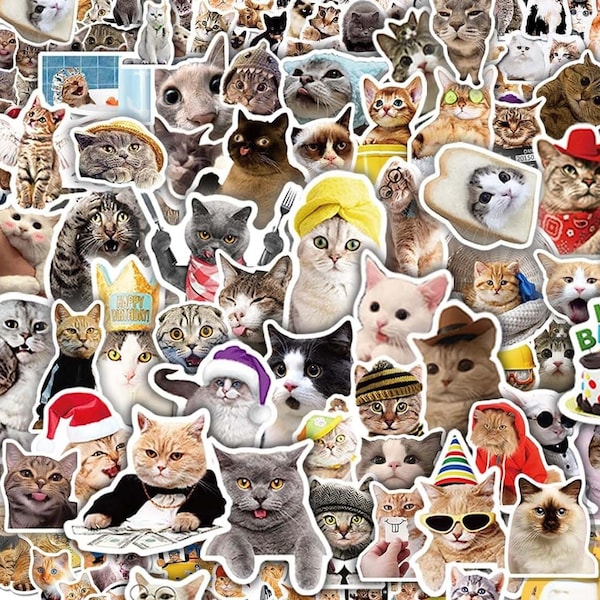 Meme Sticker Pack Cats - Etsy