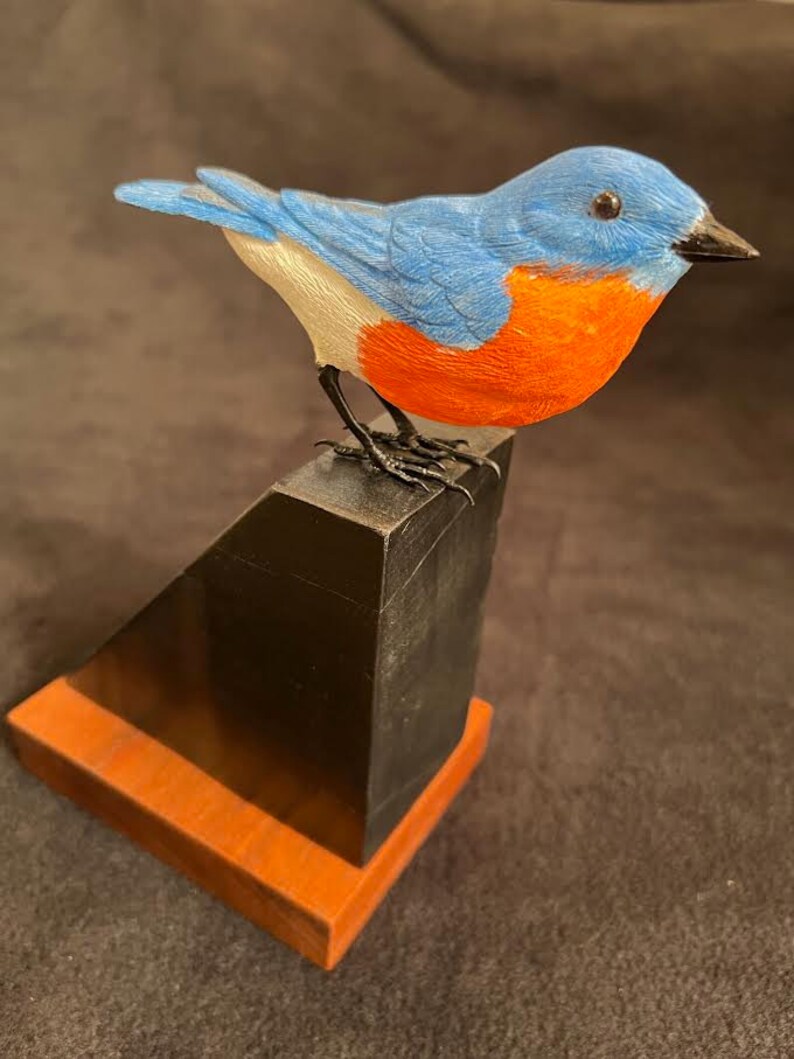 Eastern Bluebird - Etsy