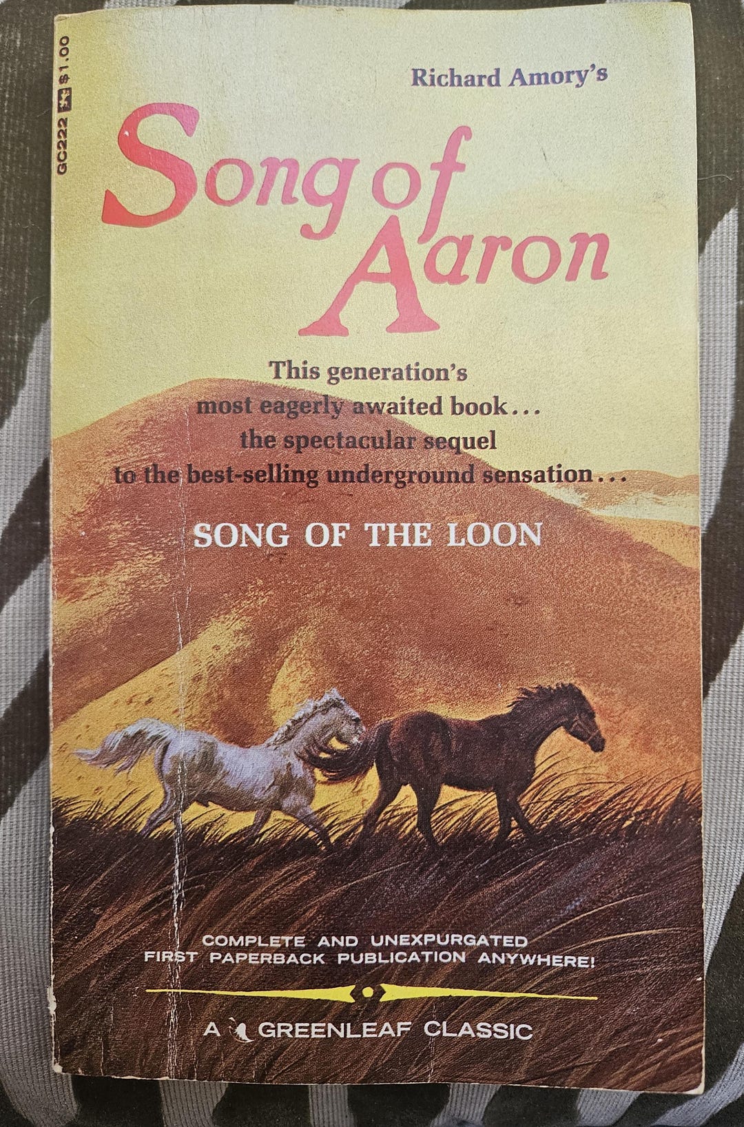 Song of Aaron: Vintage Gay Novel rare. 1st Printing. Greenleaf Classics ...
