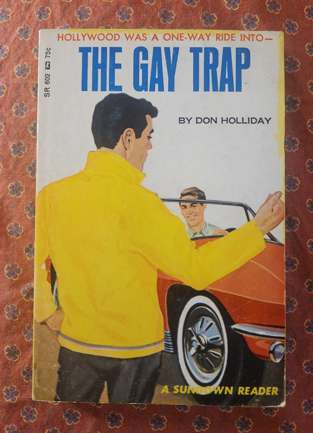 THE GAY TRAP. Vintage 1966 Don Holliday Millsap Art Rare Pulp Novel - Etsy