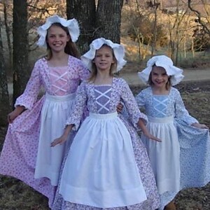 Pink Flower Colonial Day Dress Williamsburg American Historical Pioneer ...