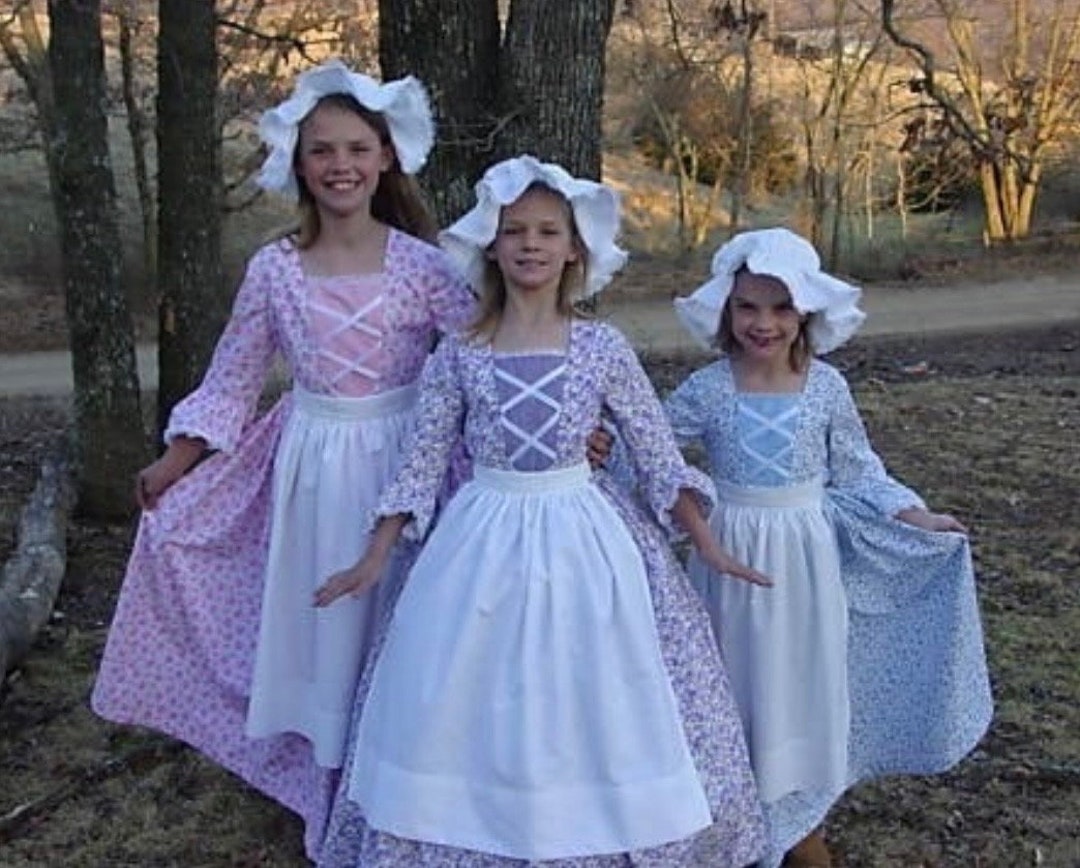 Historical Period Clothing Costume Colonial Girl Dress -purple Day ...