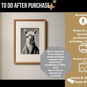 Alpaca in A Bathrobe Print | Bath Animal Art | Alpaca Art | Black and ...