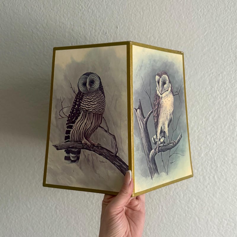 Owl Lamp Shade - Etsy