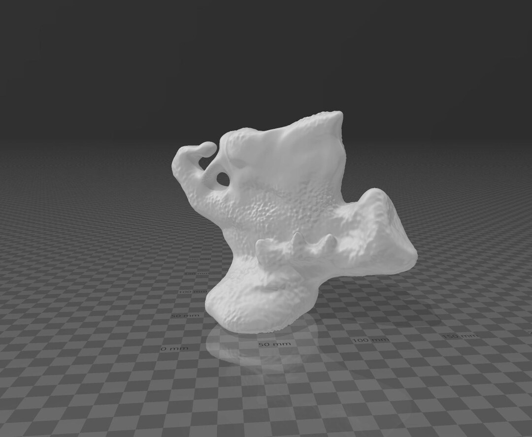 Stalker Meatchunk Artifact 3D Print File STL DIY - Etsy