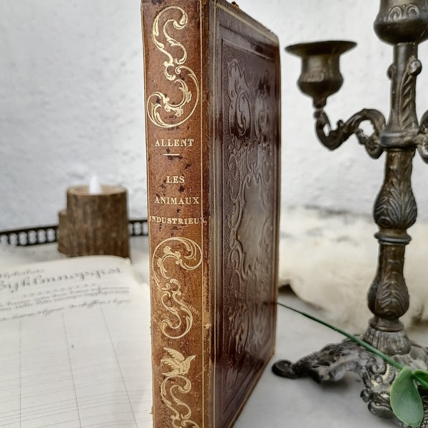 Book Engravings - Etsy