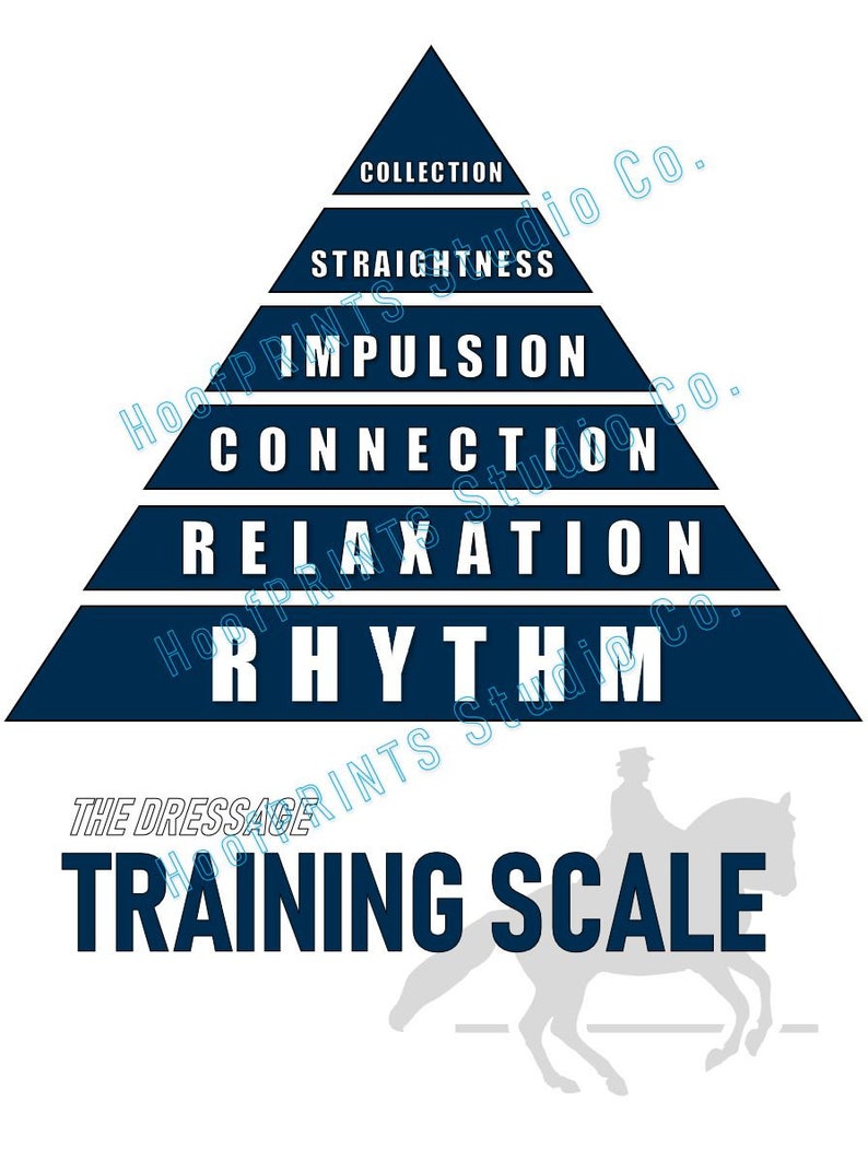 Navy Dressage Training Scale Poster, Training Pyramid Poster, Digital ...