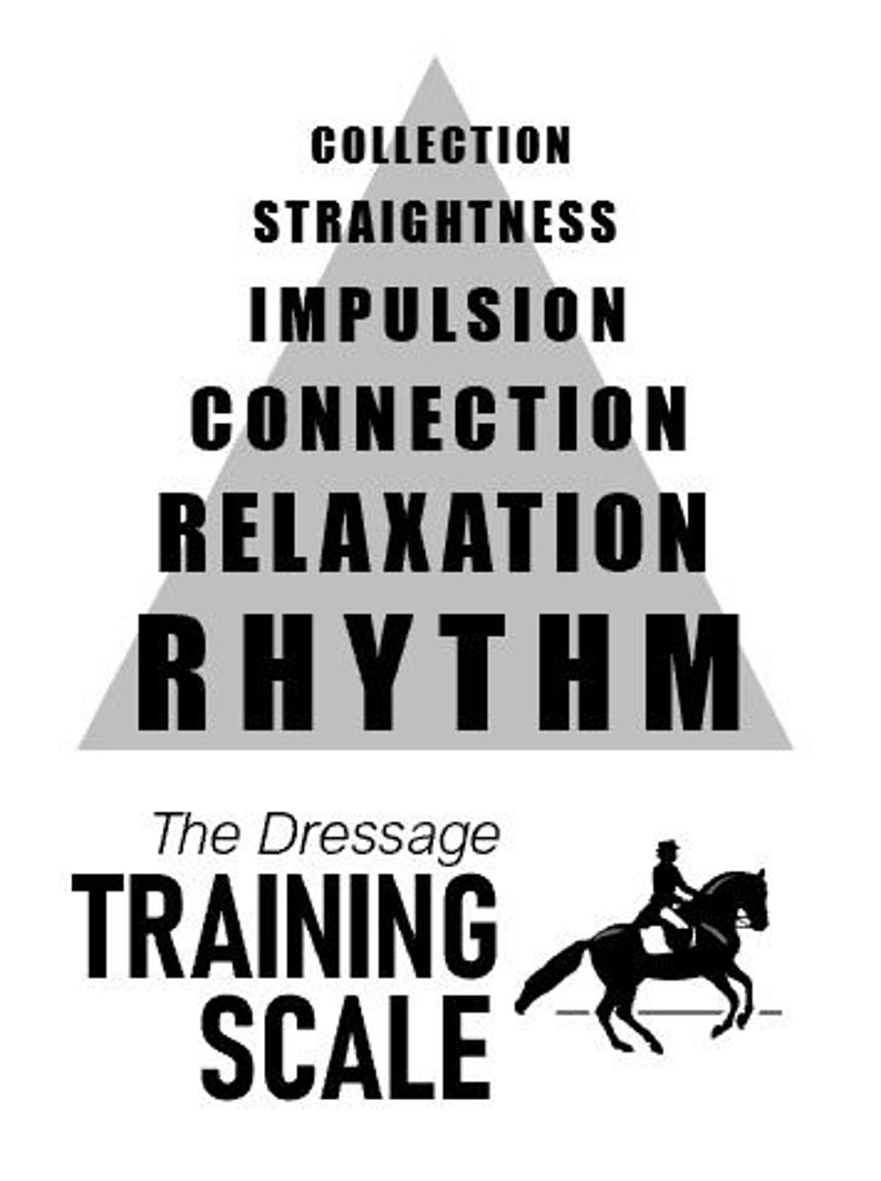 Dressage Training Scale Poster, Training Pyramid Poster, Digital ...