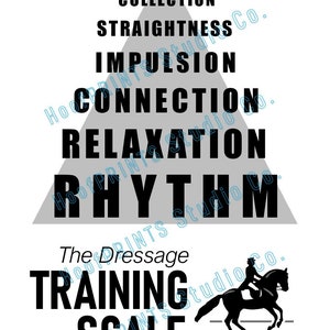 Dressage Training Scale Poster, Training Pyramid Poster, Digital ...