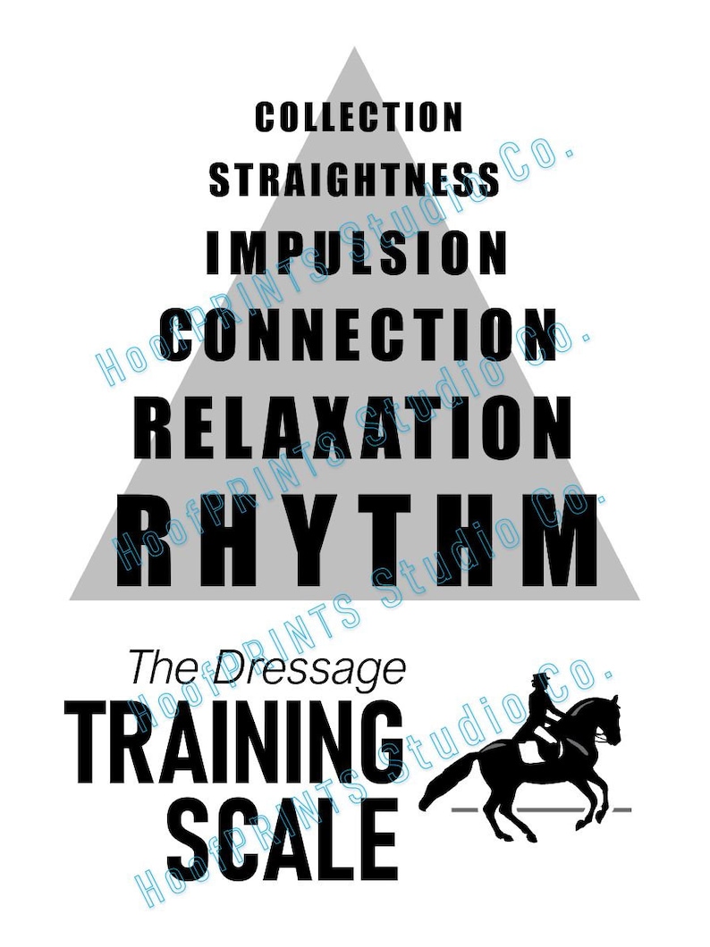 Dressage Training Scale Poster, Training Pyramid Poster, Digital ...