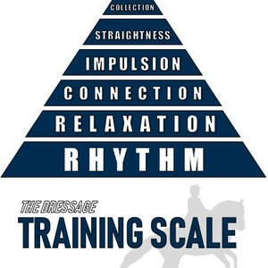 Navy Dressage Training Scale Poster, Training Pyramid Poster, Digital ...