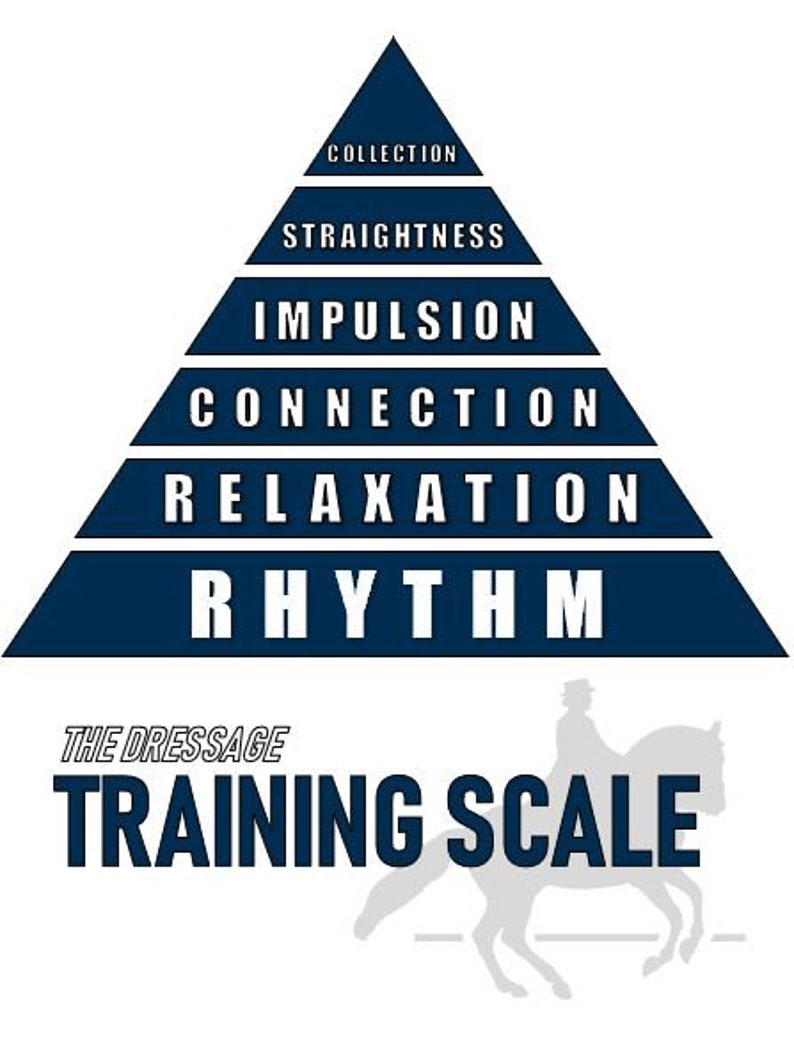 Navy Dressage Training Scale Poster, Training Pyramid Poster, Digital ...