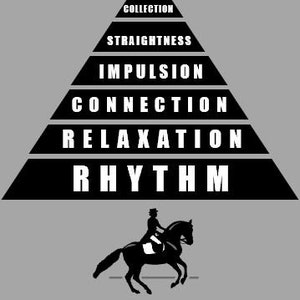 Modern Dressage Training Scale Poster, Training Pyramid Poster, Digital ...