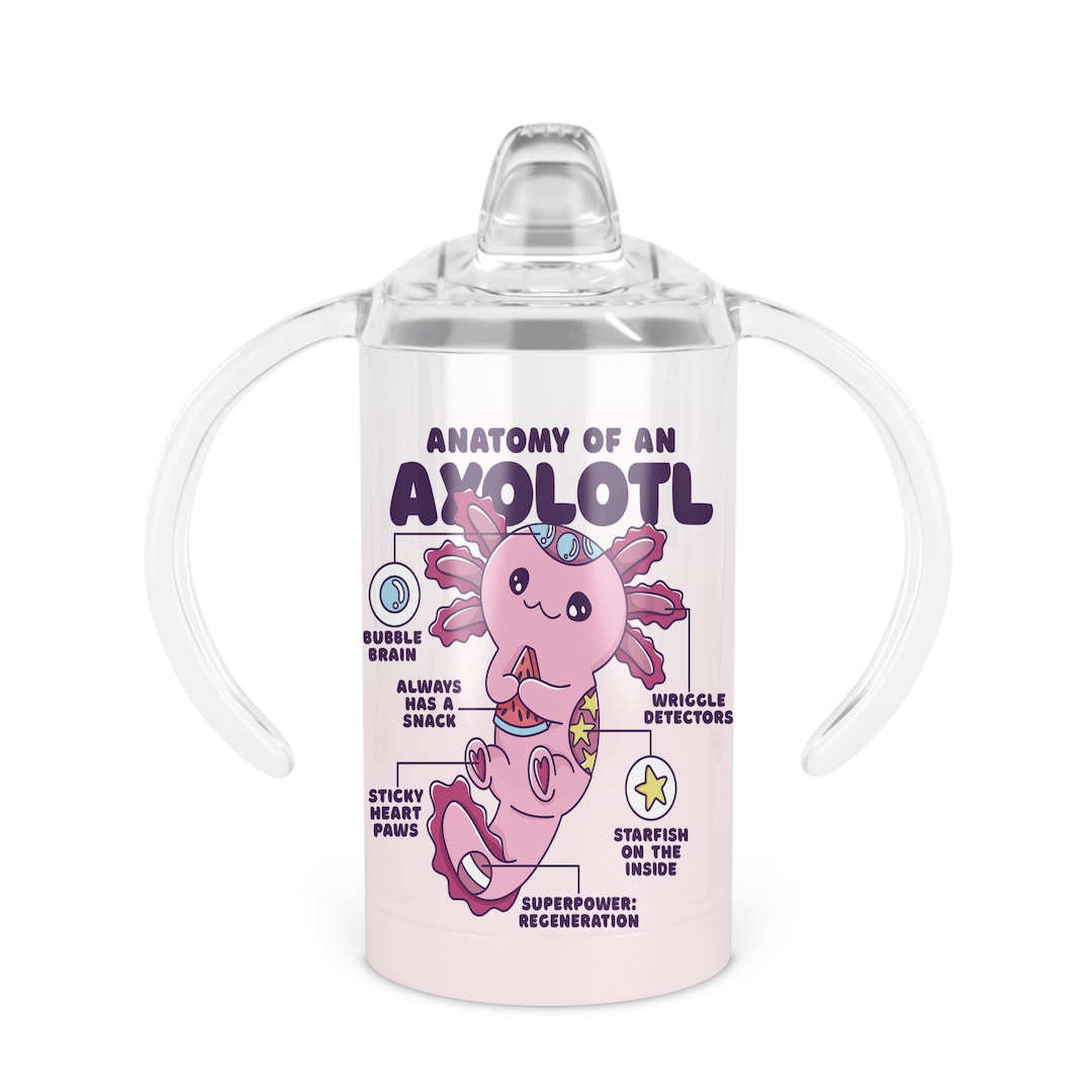 Axolotl Anatomy Cup - 12 Oz Double Walled Stainless Steel Tumbler ...