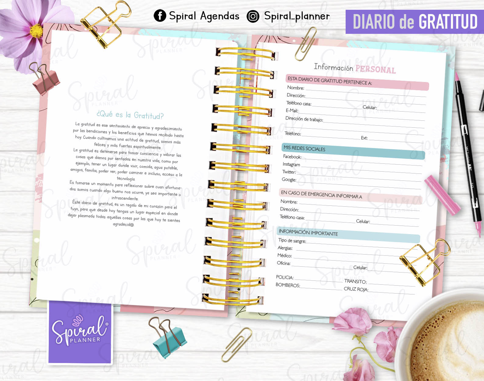 Diario de Gratitud imprimible Gratitud Diario agenda en | Etsy México