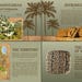Canva Presentation on Mesopotamia – the Cradle of Civilization ...
