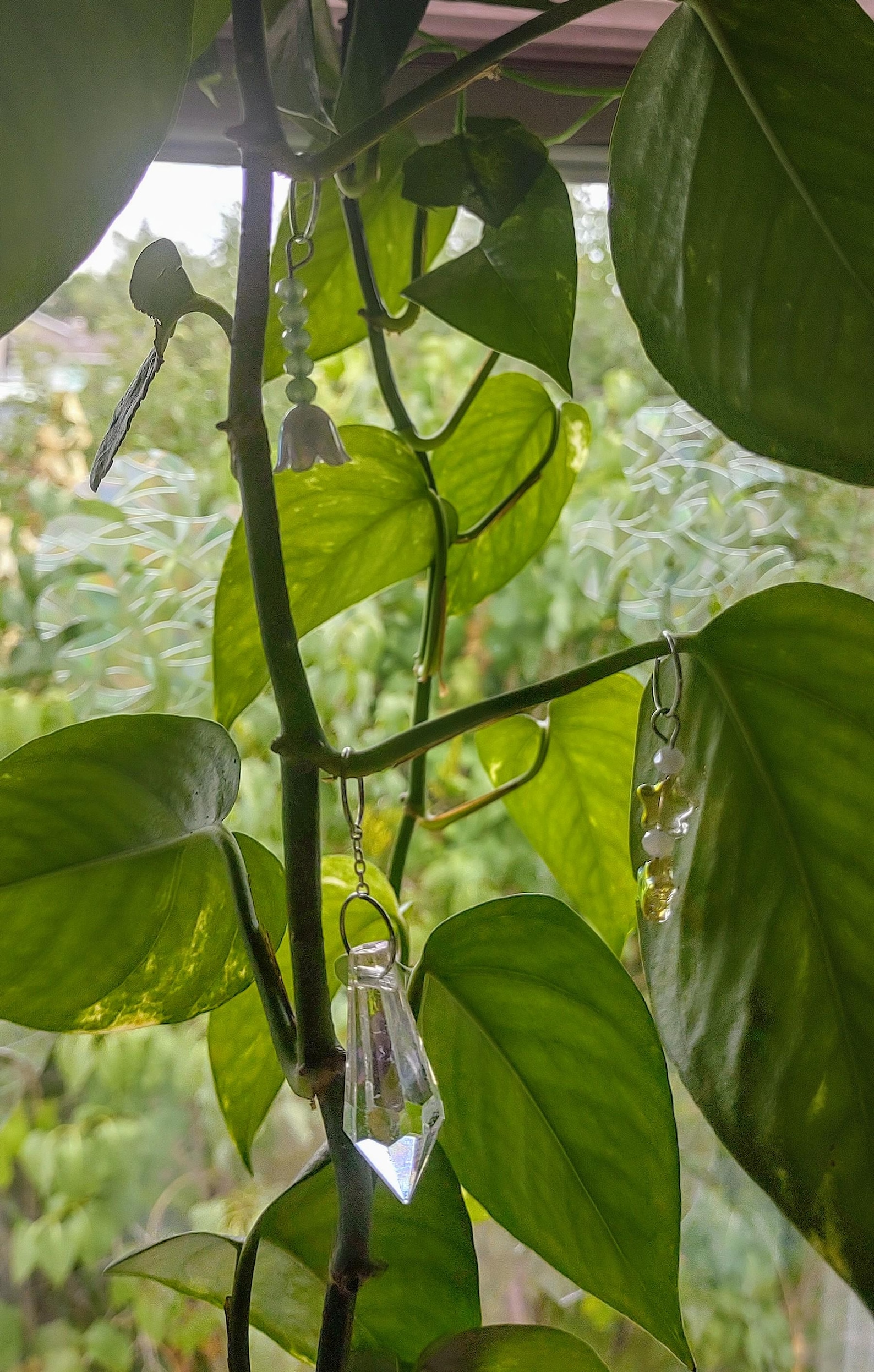 Crystal Prism Set of 3 Hanging Plant Charms, Flower Crystal Suncatcher ...