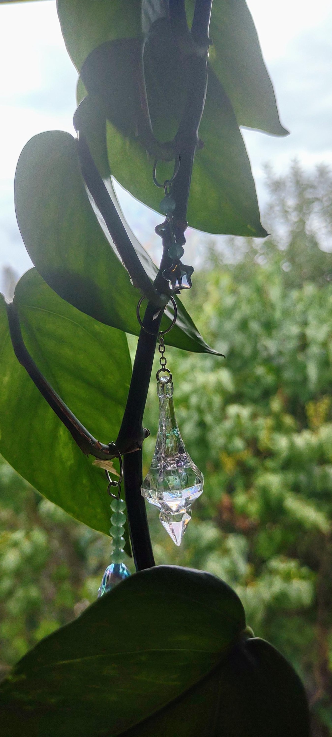 Crystal Prism Set of 3 Hanging Plant Charms, Flower Crystal Suncatcher ...